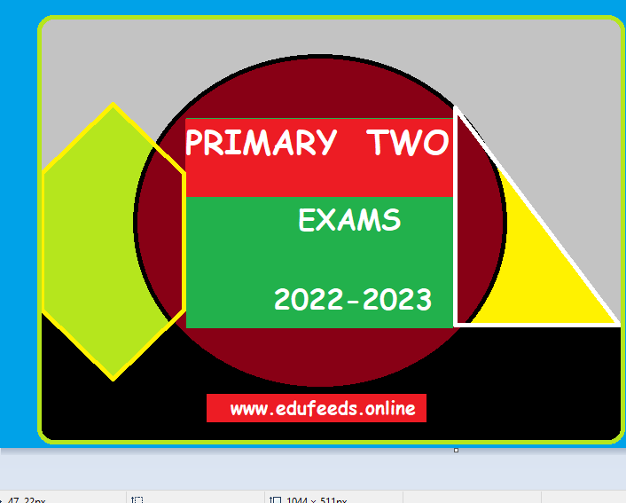 PRIMARY TWO (P2) DISTRICT PAST PAPER 2022-2023 - EDUFEEDS || TOGETHER ...